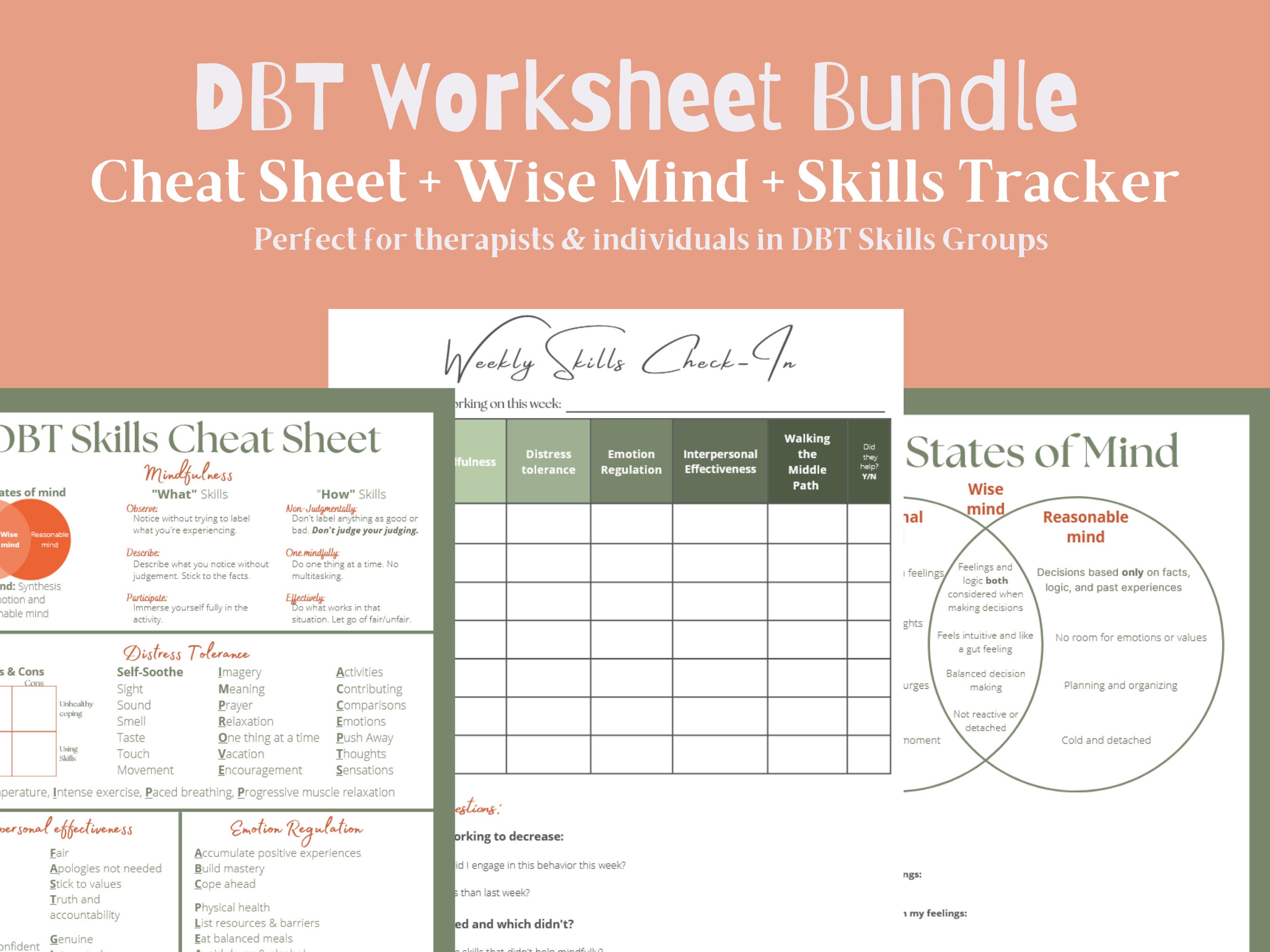 DBT Skills Bundle - Etsy