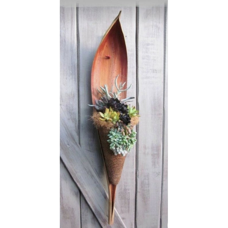 Minimal & Vintage Style, Dried Coconut Flower Pod dried Palm Paddles ...