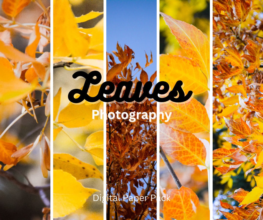 Digital Paper Pack --made With[original Art]/photography/background ...