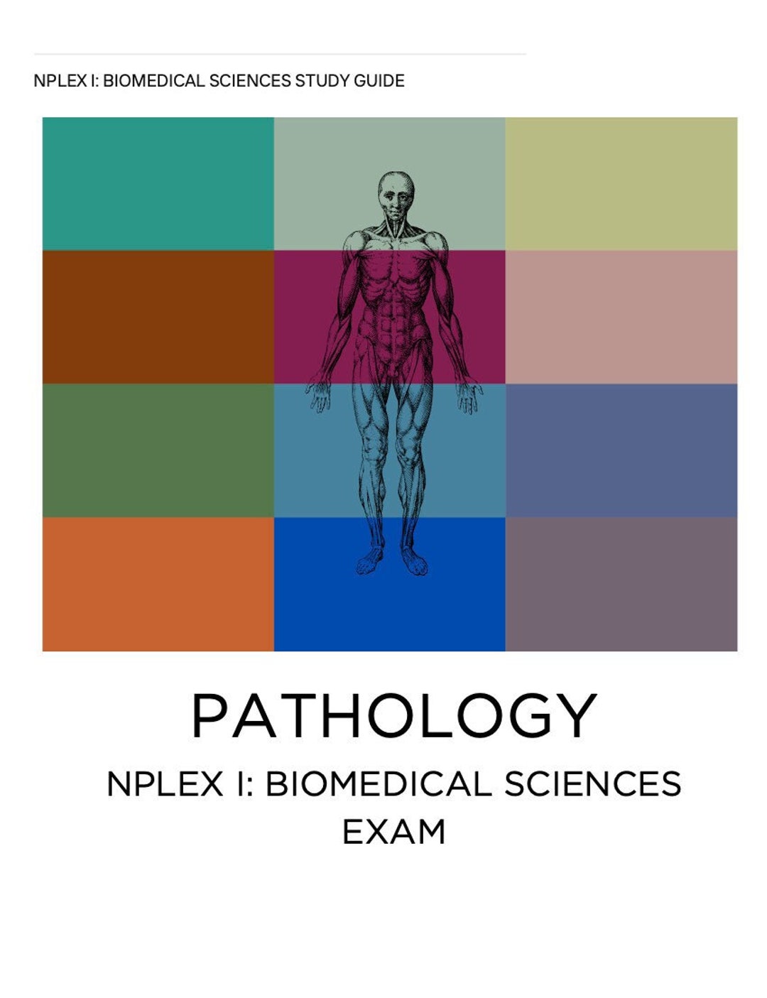 NPLEX I Pathology Note Package - Etsy
