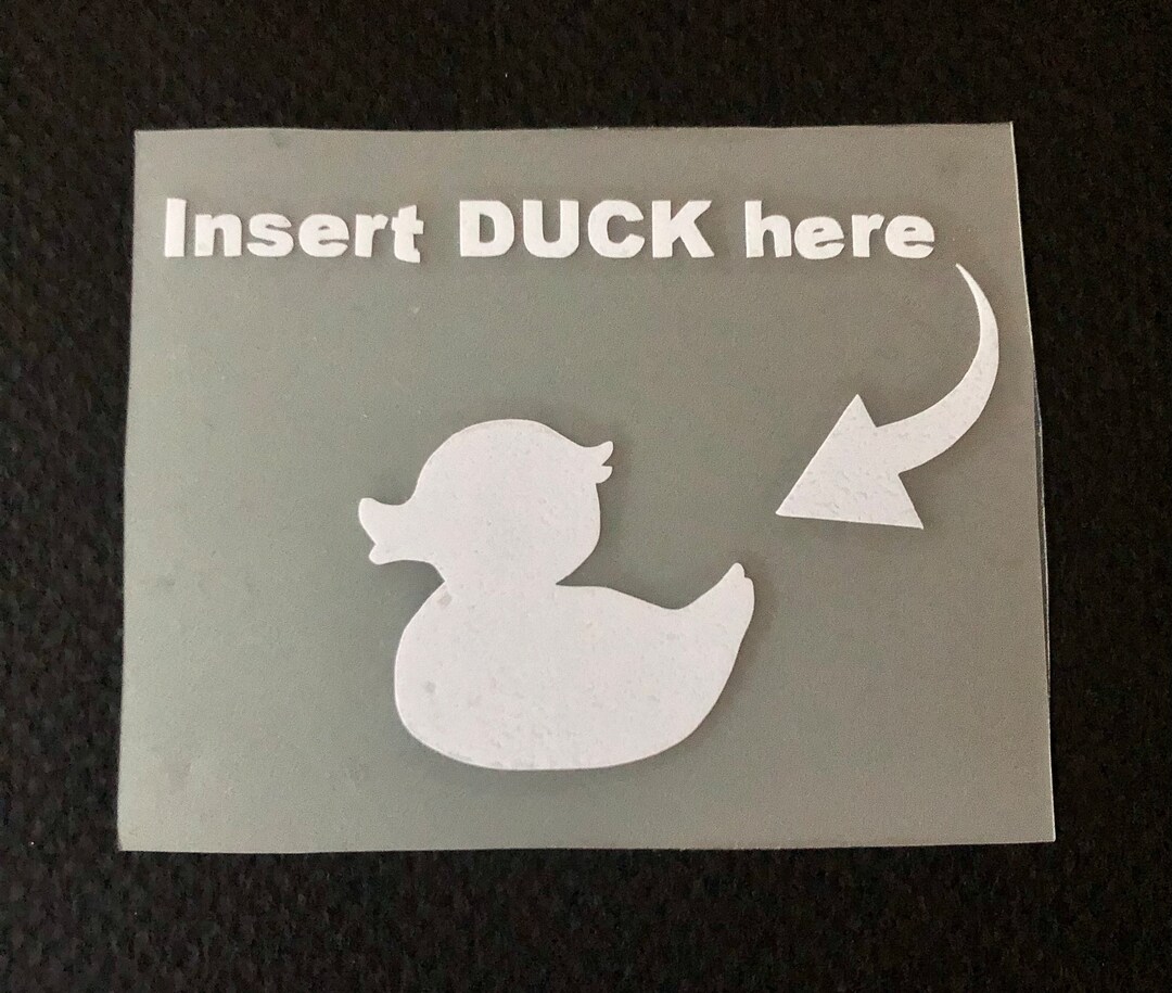 Insert Duck Here, Vehicle or Tumbler Vinyl Decals Sticker - Etsy