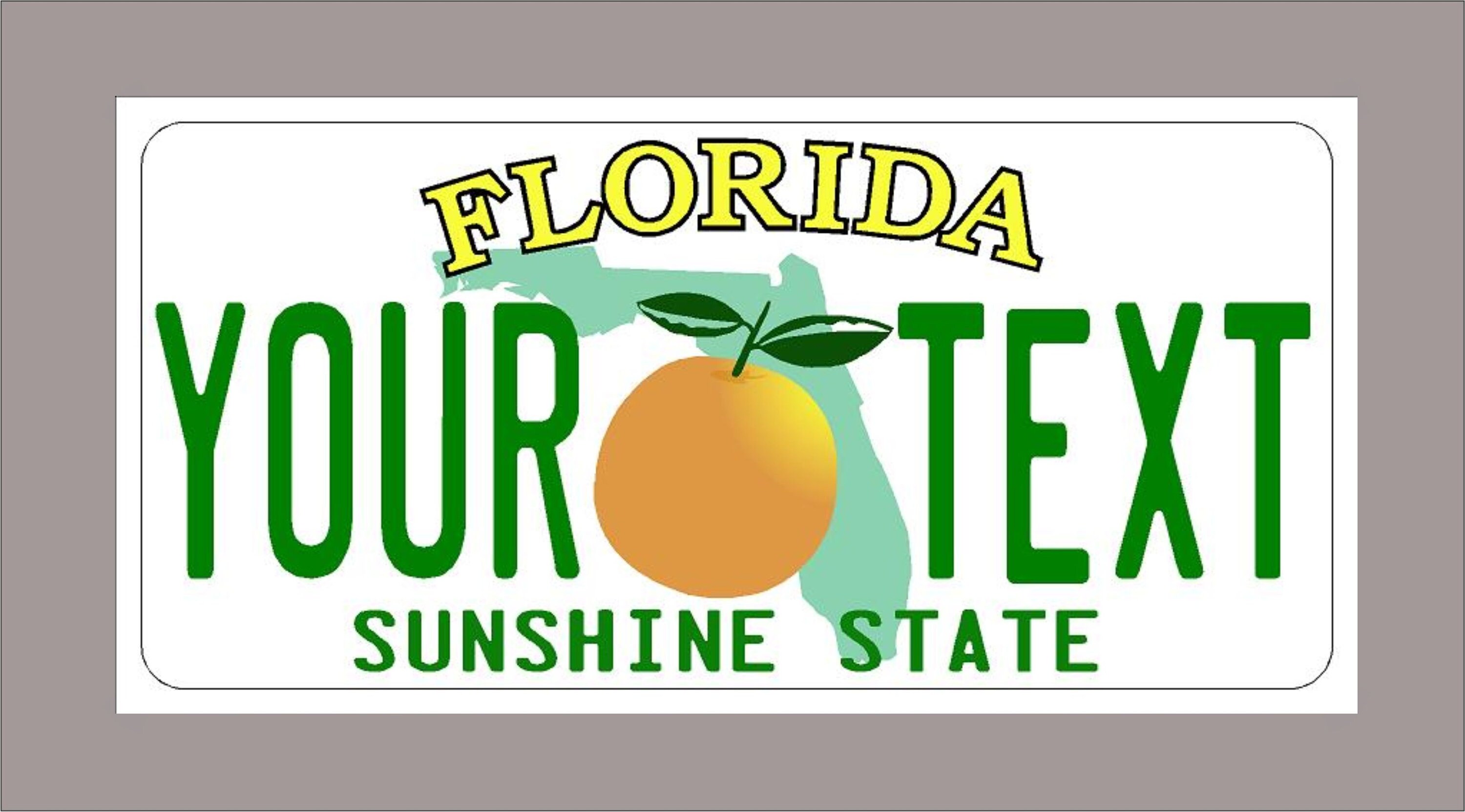Florida License Plate custom Text - Etsy