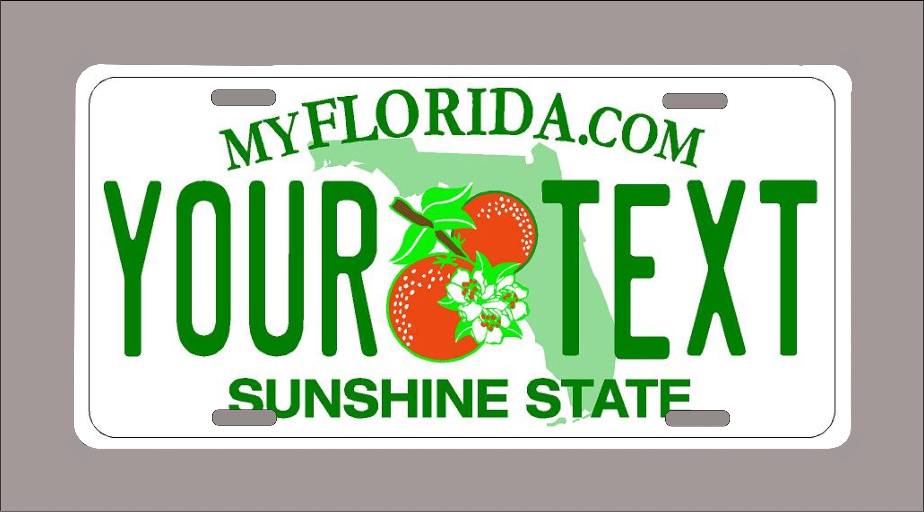 Florida License Plate Clipart