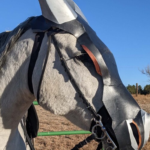 Dragon Knight Horse Chanfron Pattern - Etsy