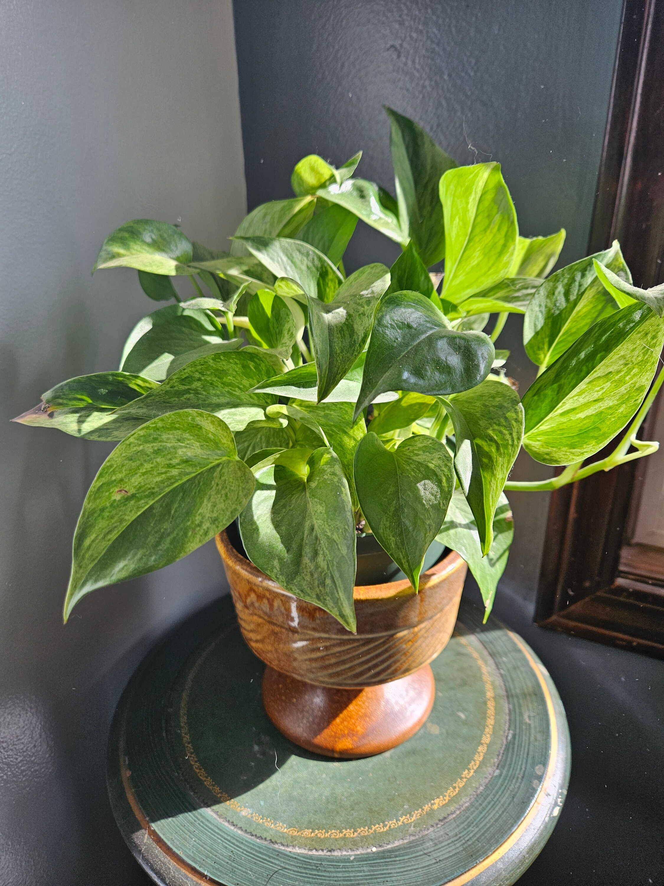 Vintage FTDA Ceramic Planter - Etsy