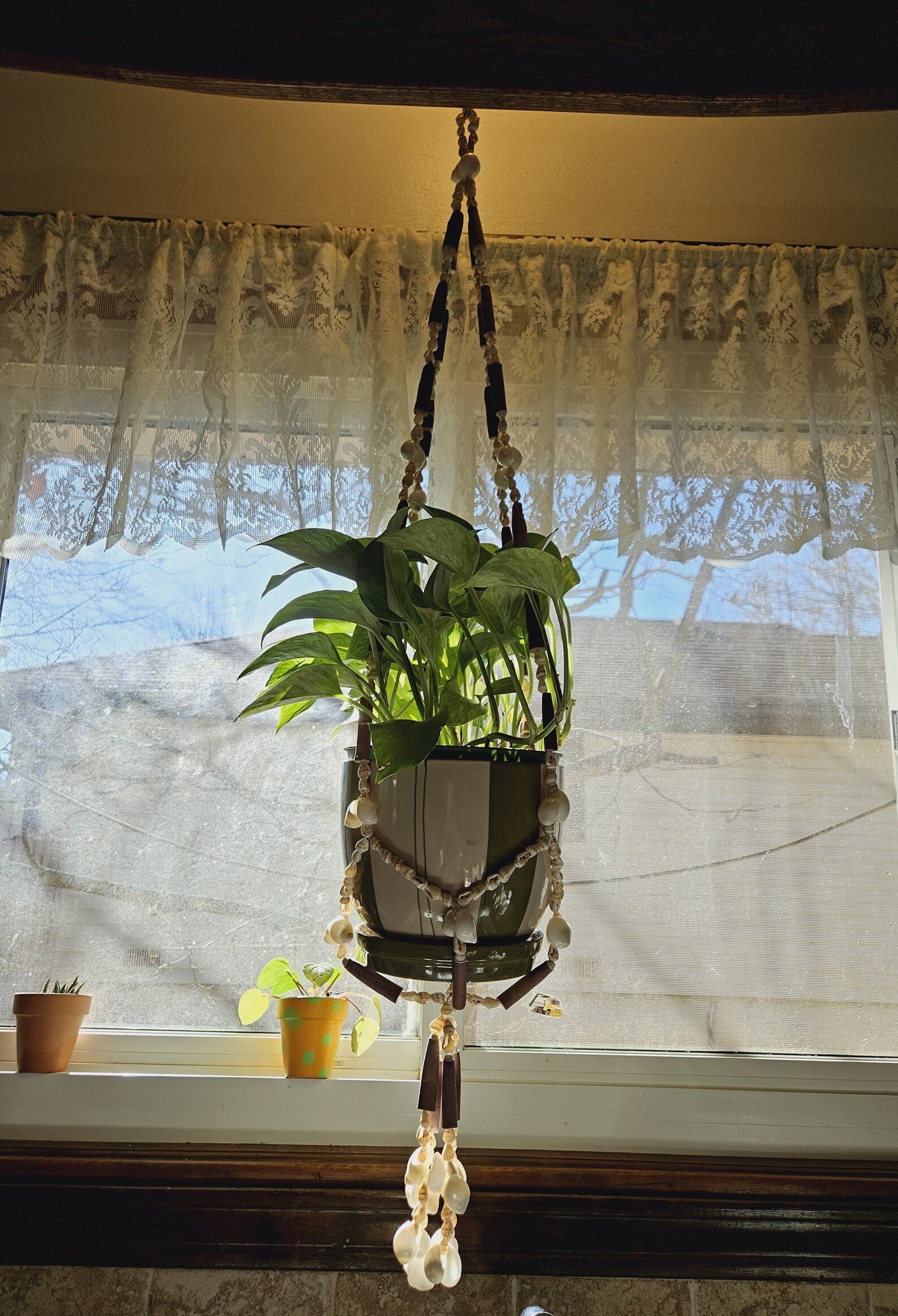 Vintage Shell Hanging Planter Holder - Etsy