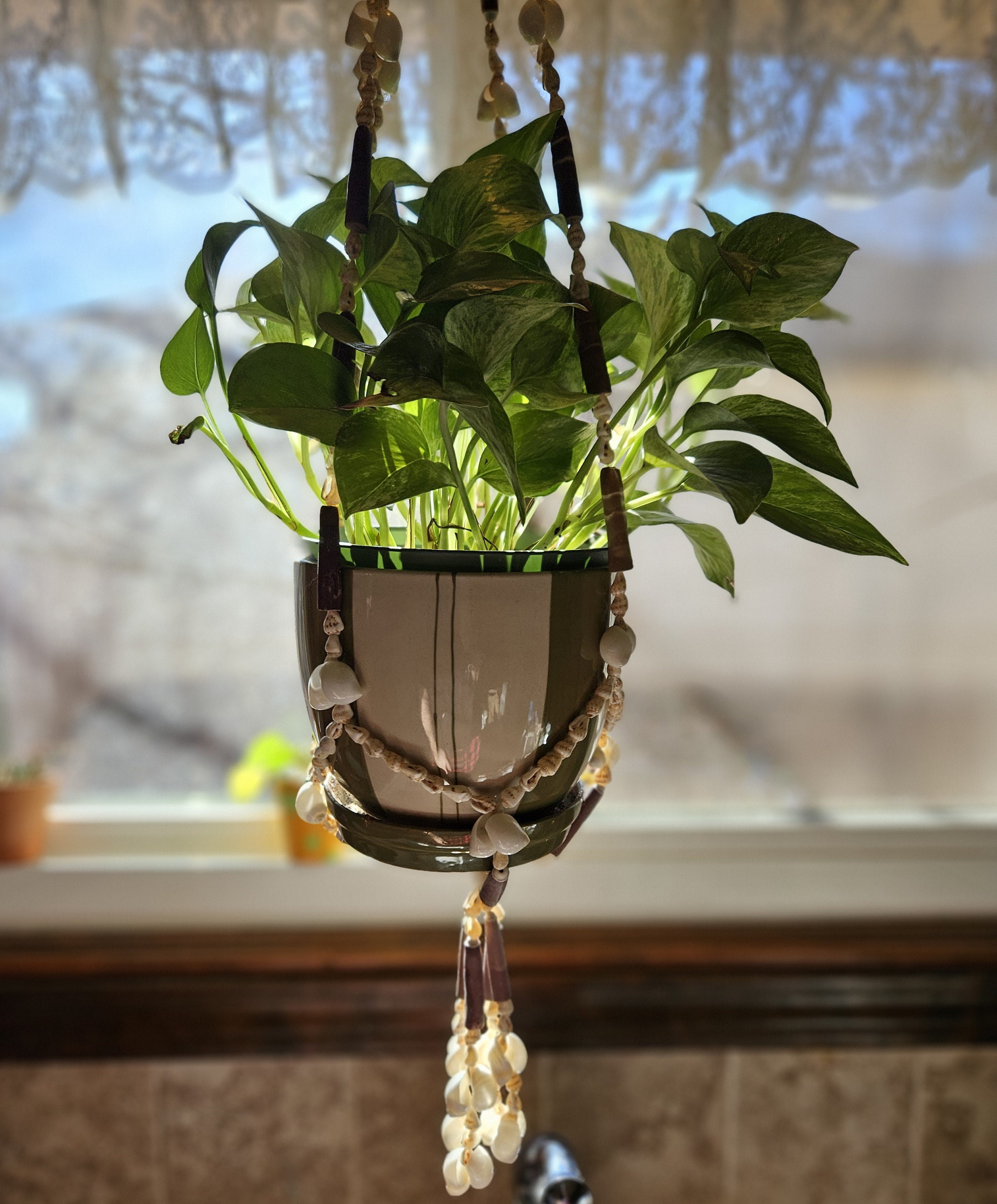Vintage Shell Hanging Planter Holder - Etsy