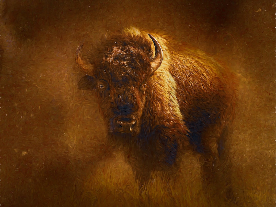 Bison Canvas Print • Bison Canvas Wall Art • Bison Art Print • American ...