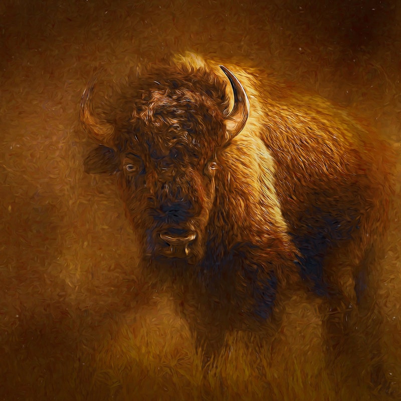 Bison Art Print - Etsy