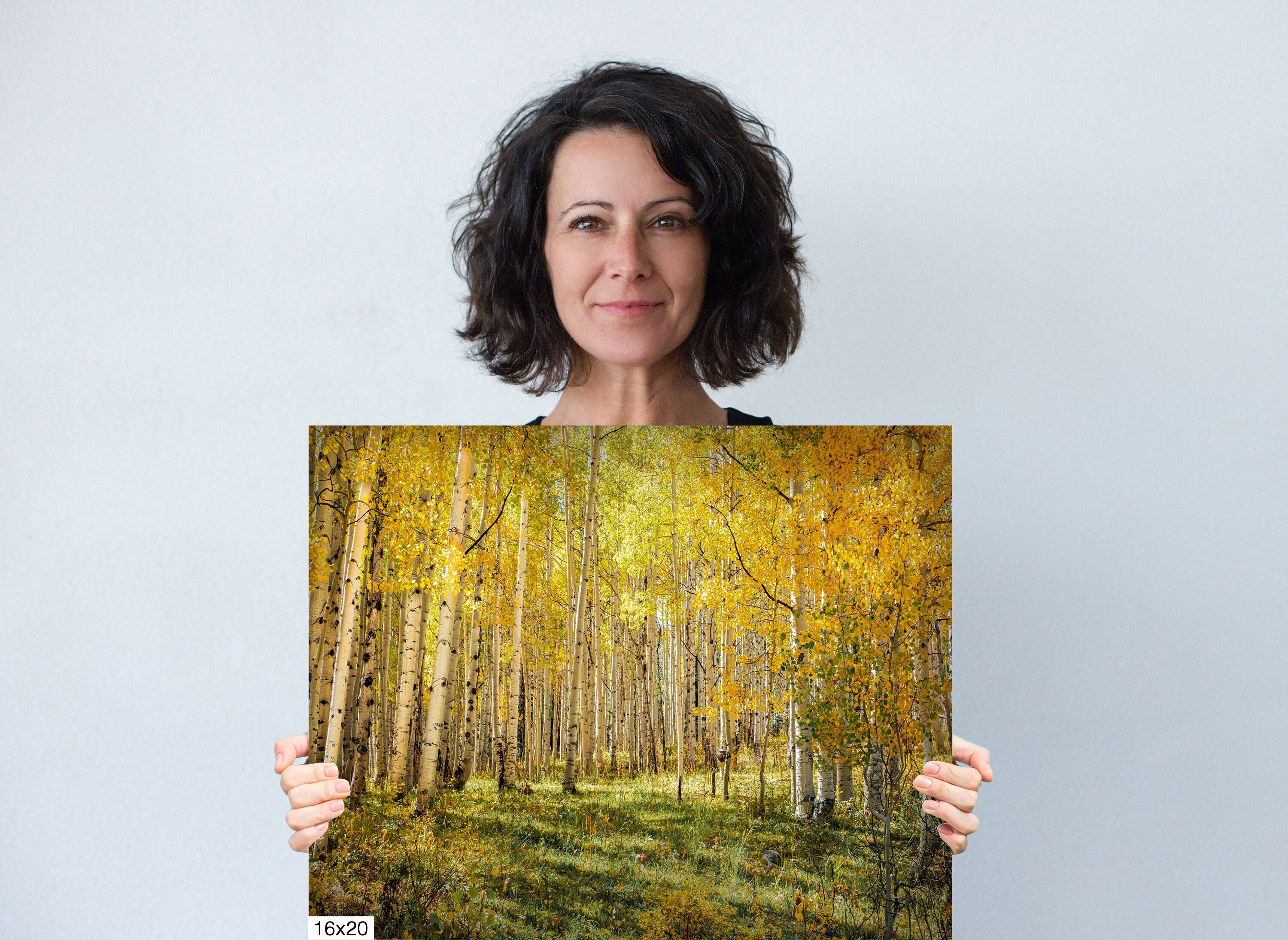 Colorado Fall Wall Art, Colorado Mountains Art, Autum Aspens Art ...
