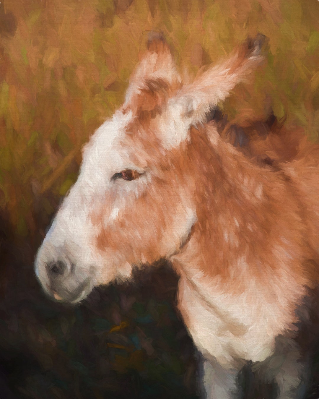 Donkey Wall Art, Donkey Wall Canvas, Nursery Donkey Print, Burro Art ...