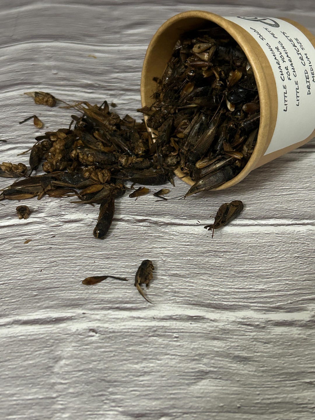 Natural Dried Crickets - Etsy