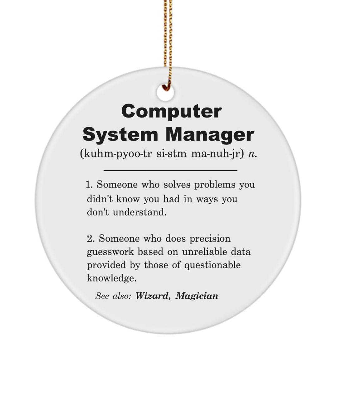 Computer System Manager Gift, Computer System Manager Ornament ...