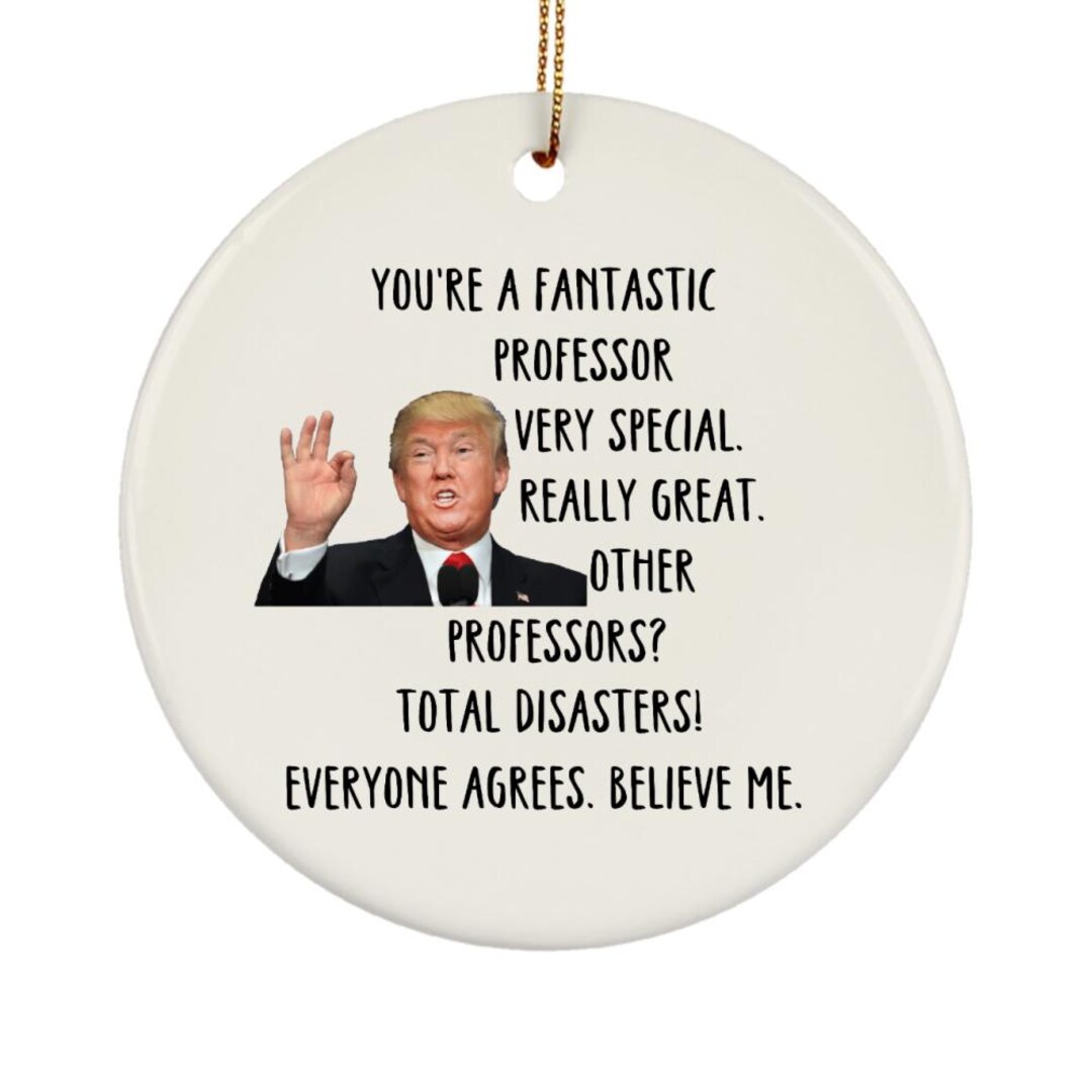 Professor Ornament, Professor Gift, Professor Appreciation Gift ...