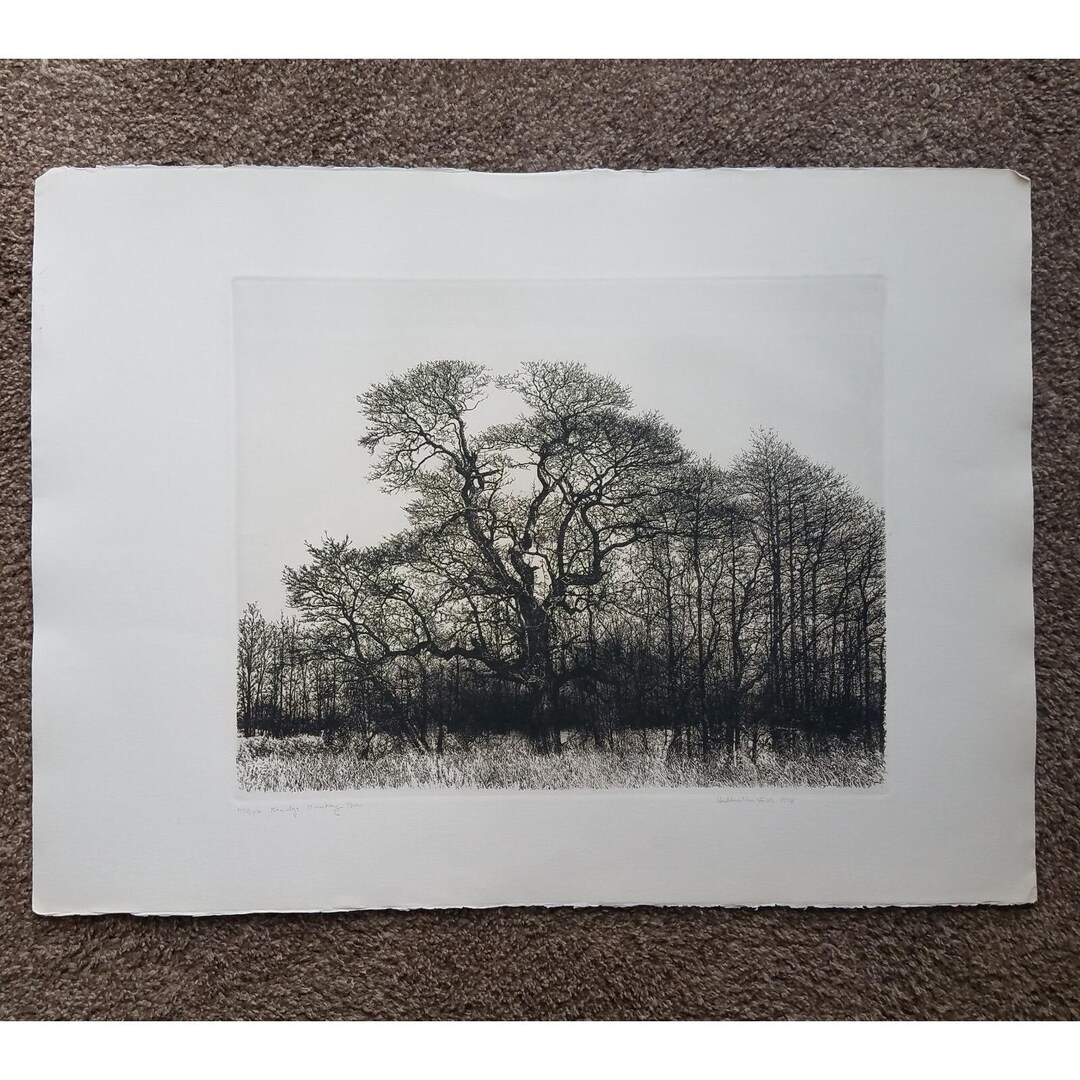 Herbert Fink SIGNED Randy's Hunting Tree Etching 1978 22"x30" 117/250 ...