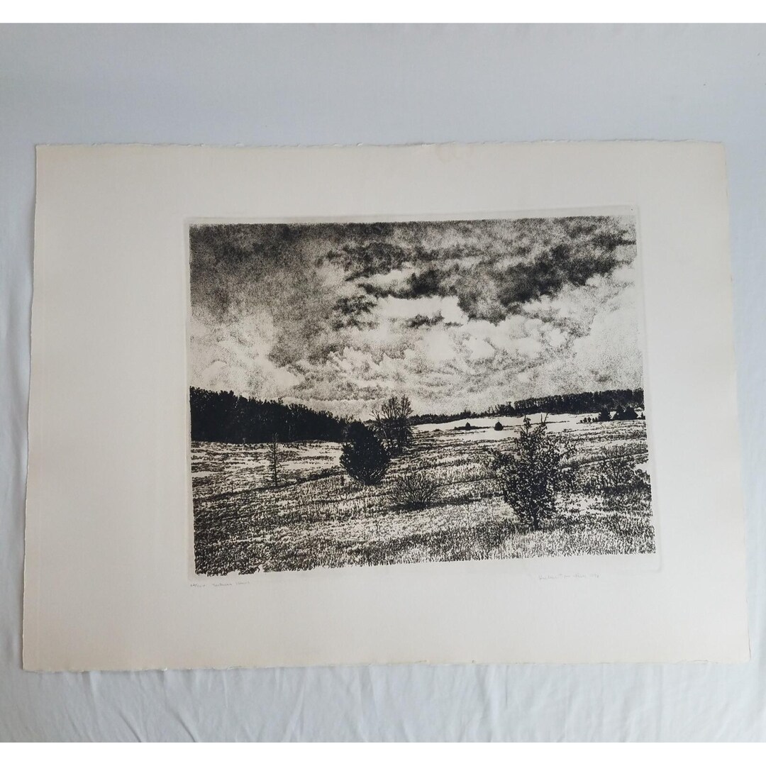 Herbert Fink SIGNED Southern Illinois Landscape Etching 1978 22"x30" 26 ...