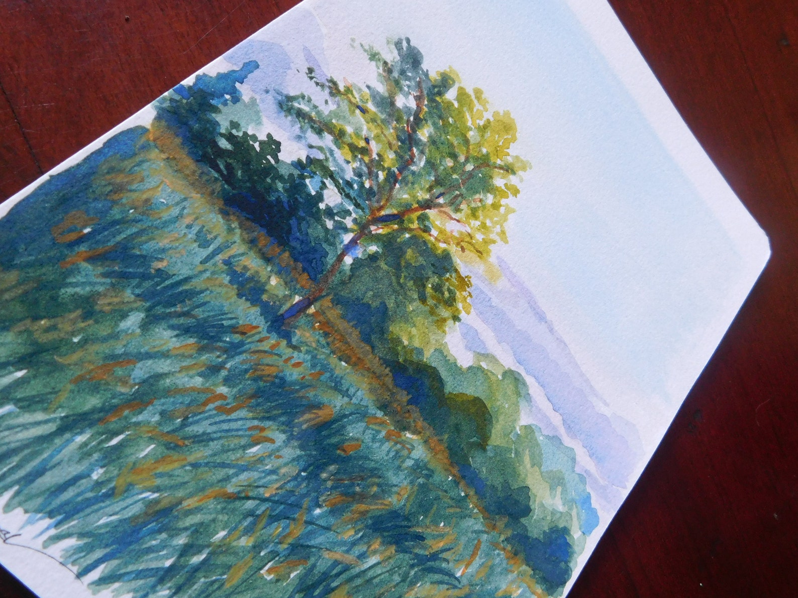 Meacham Grove - Original Artwork - Sketchbook Page Watercolor - 5 X 8 ...