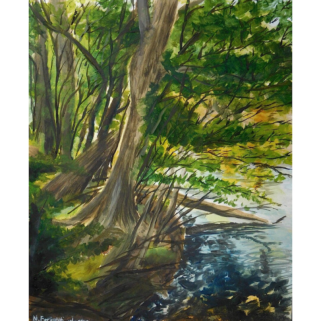 Original Oil Painting - Spring Valley Schaumburg in Early Summer - Wood ...