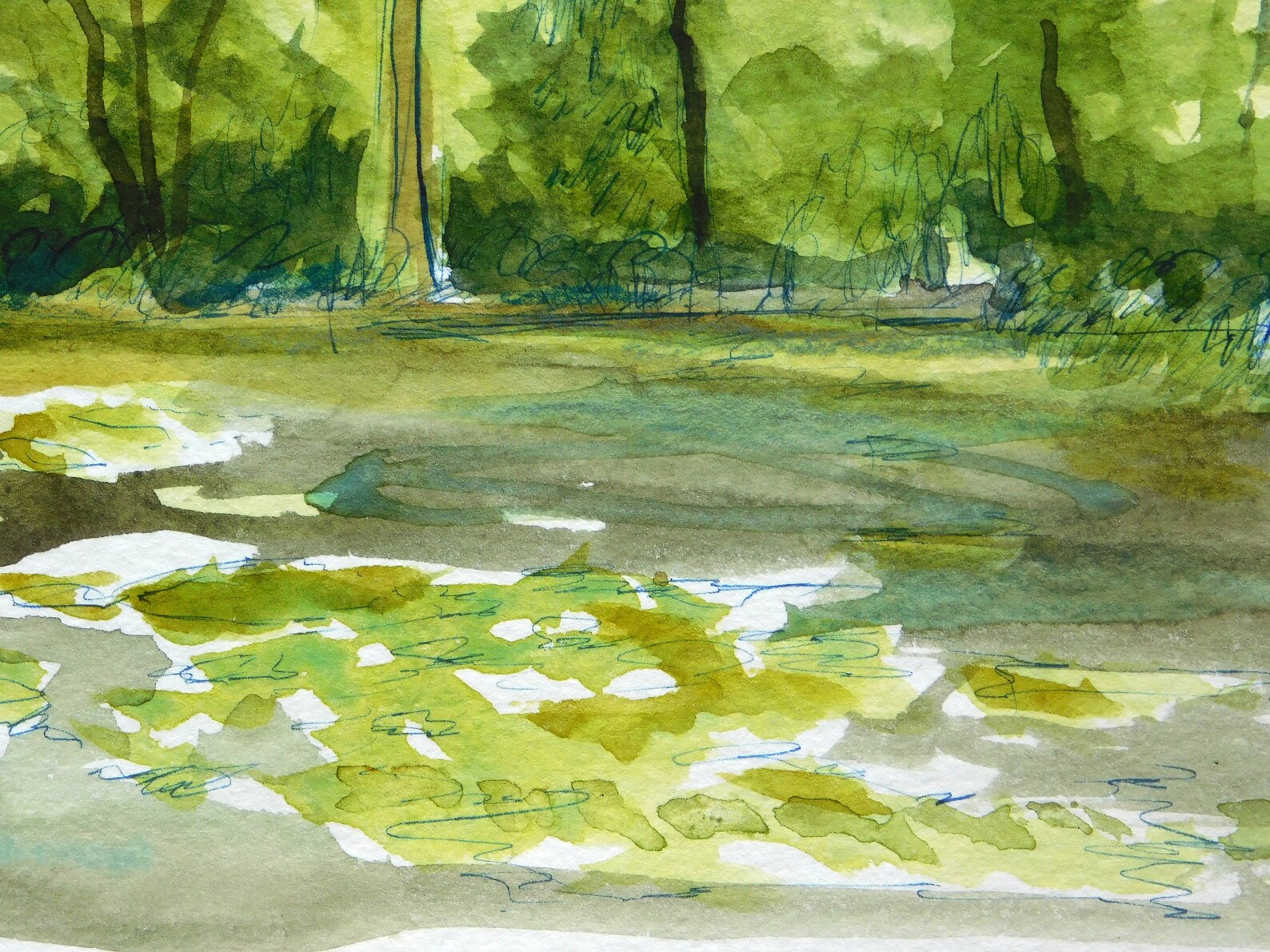 Spring Valley Nature Center - Plein Air Painting - Original Artwork ...