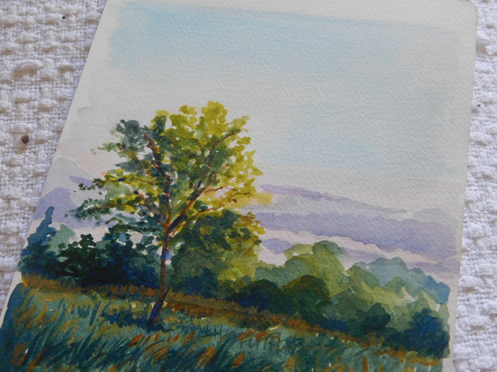Meacham Grove - Original Artwork - Sketchbook Page Watercolor - 5 X 8 ...