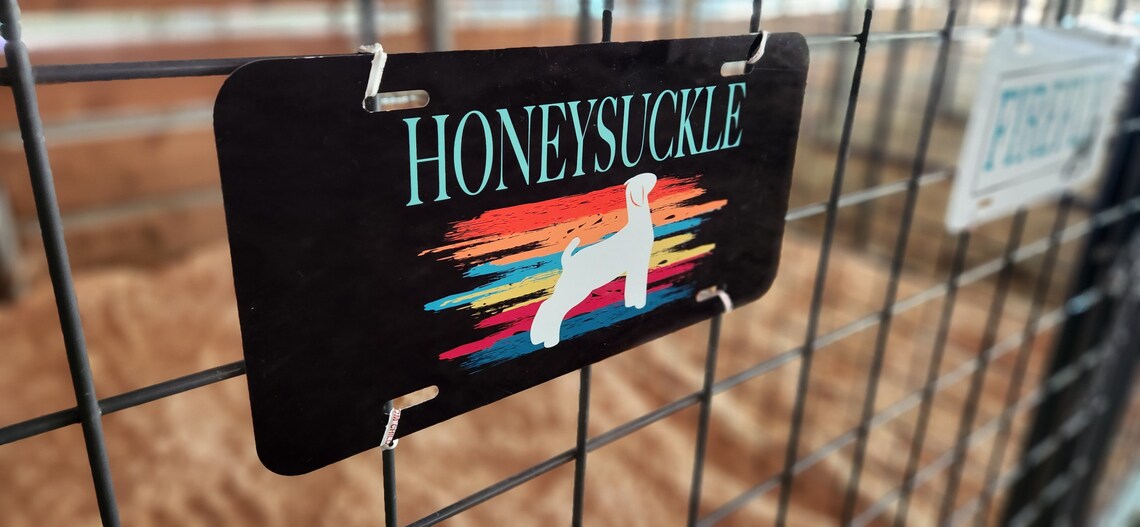 Stall Sign, Stall Name Plate, 4h Stall Sign, Custom Stall Sign, Custom ...