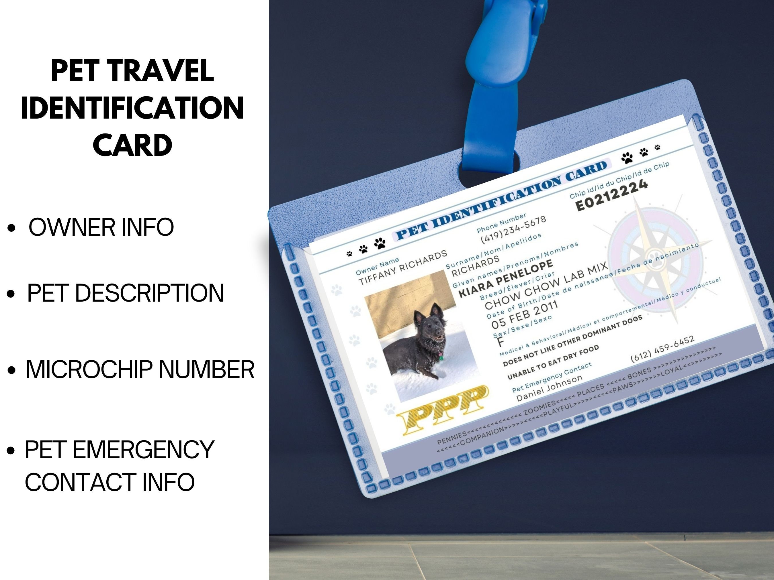 Printable Pet Travel ID Card | Custom Emergency Dog & Cat ...