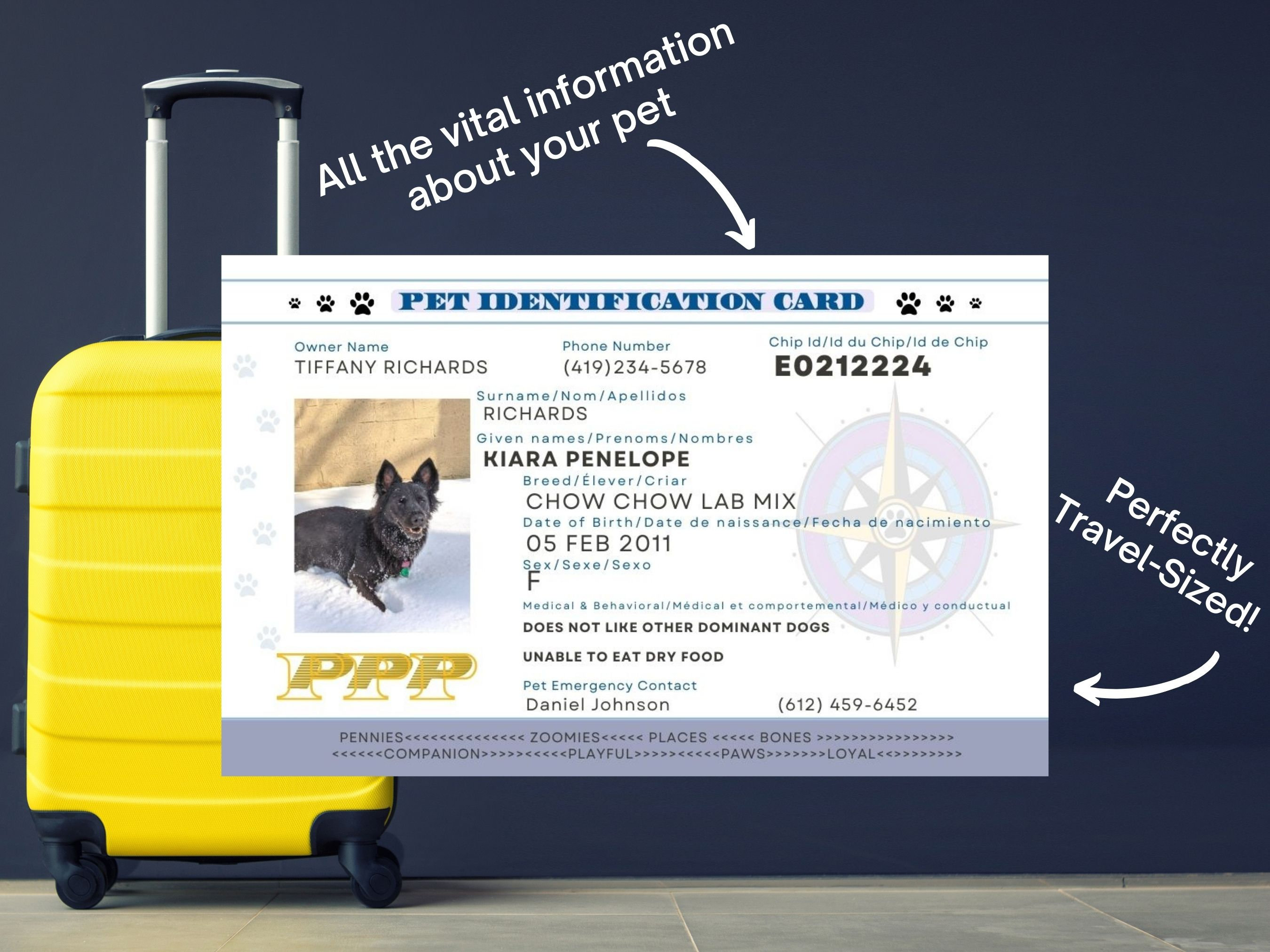 Printable Pet Travel ID Card | Custom Emergency Dog & Cat ...