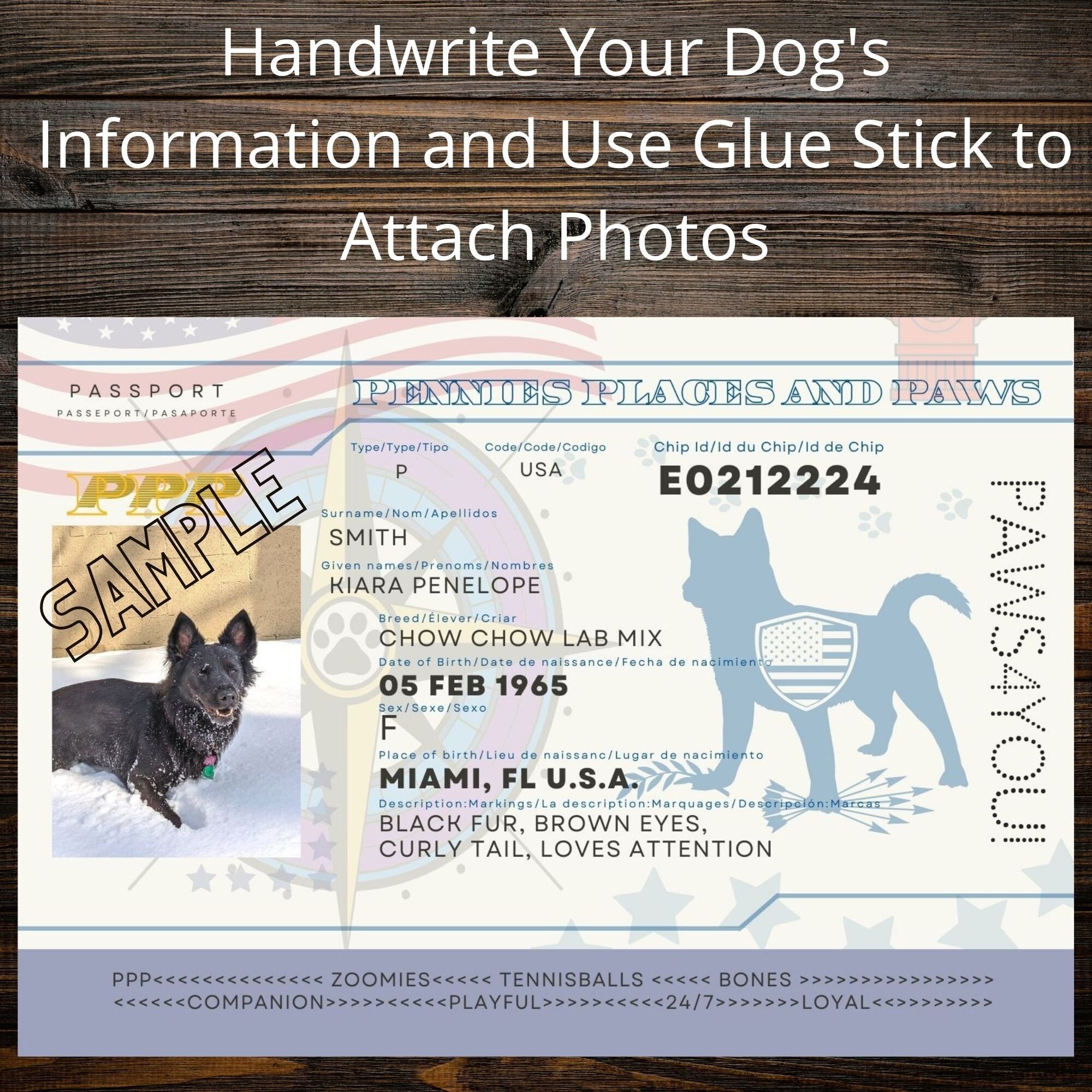 Remington's Pup Memory Passport - Etsy