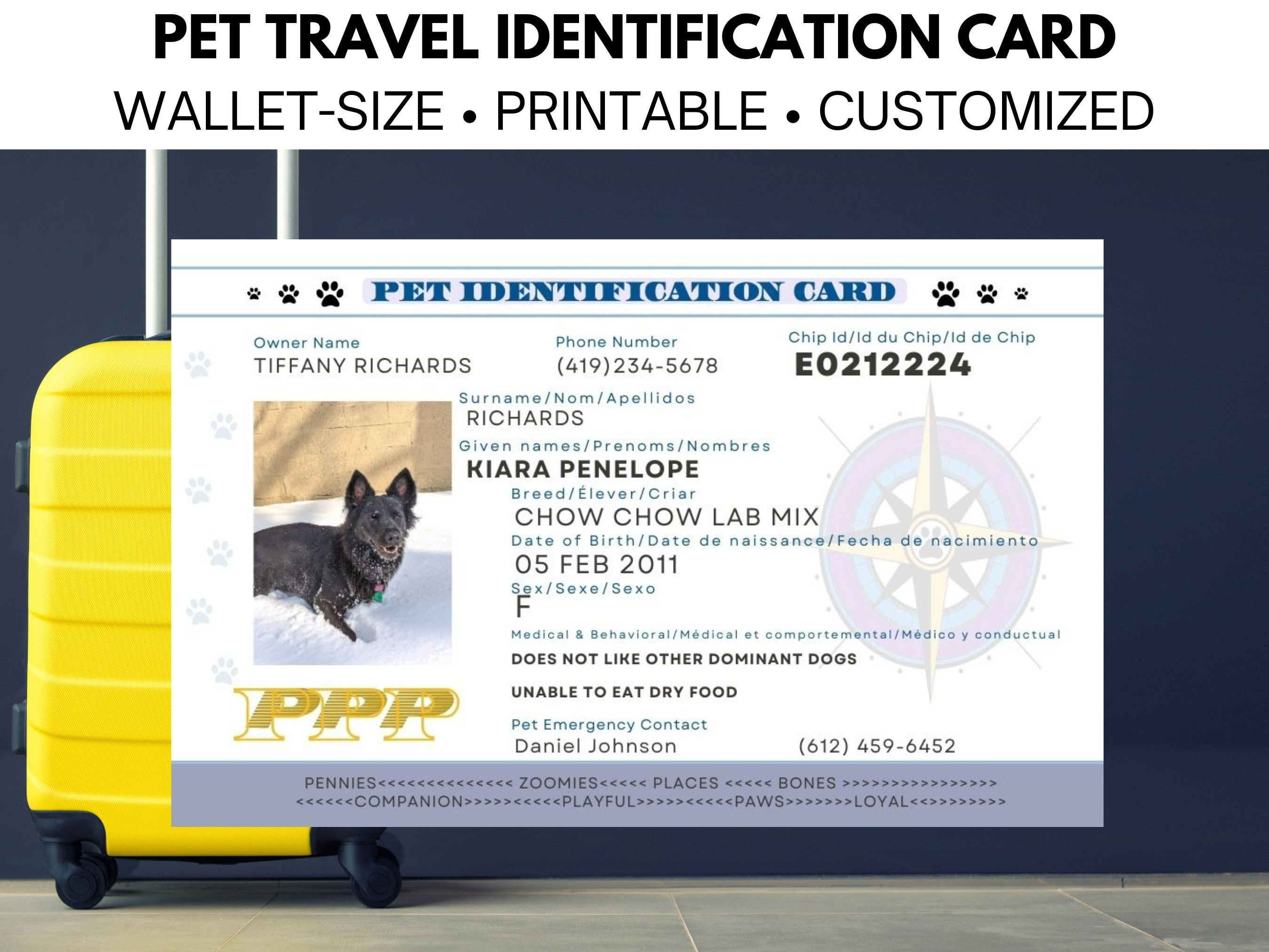 Printable Pet Travel ID Card | Custom Emergency Dog & Cat ...