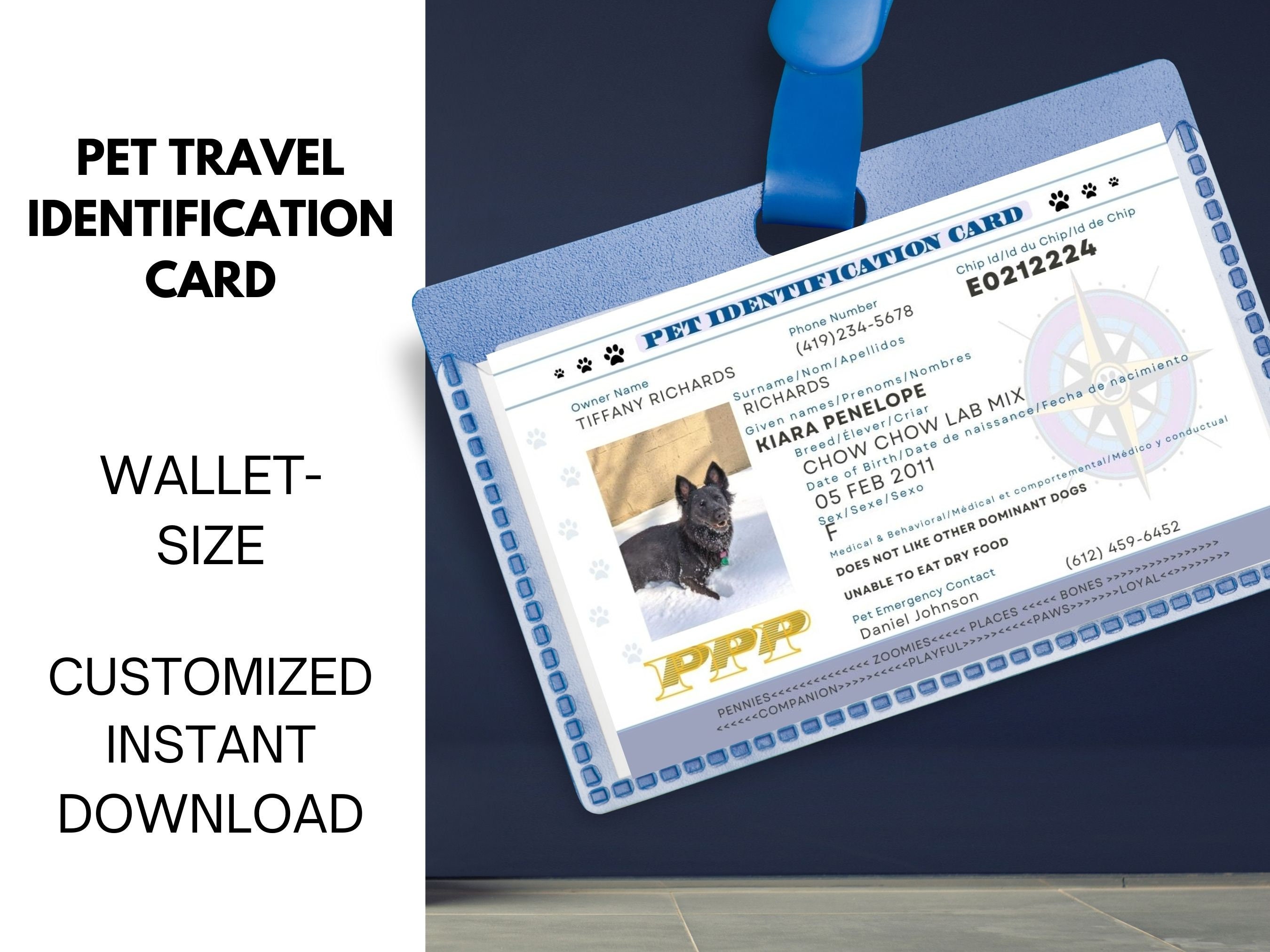 Printable Pet Travel ID Card | Custom Emergency Dog & Cat ...