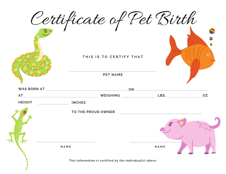 Printable Pet Birth Certificate, Printable Animal Birth Certificate ...