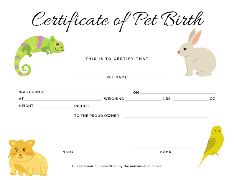 Printable Pet Birth Certificate, Printable Animal Birth Certificate ...