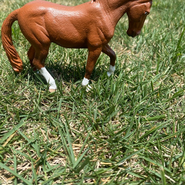 Daisy Stalls - 6+ Daisy Stalls for 2023