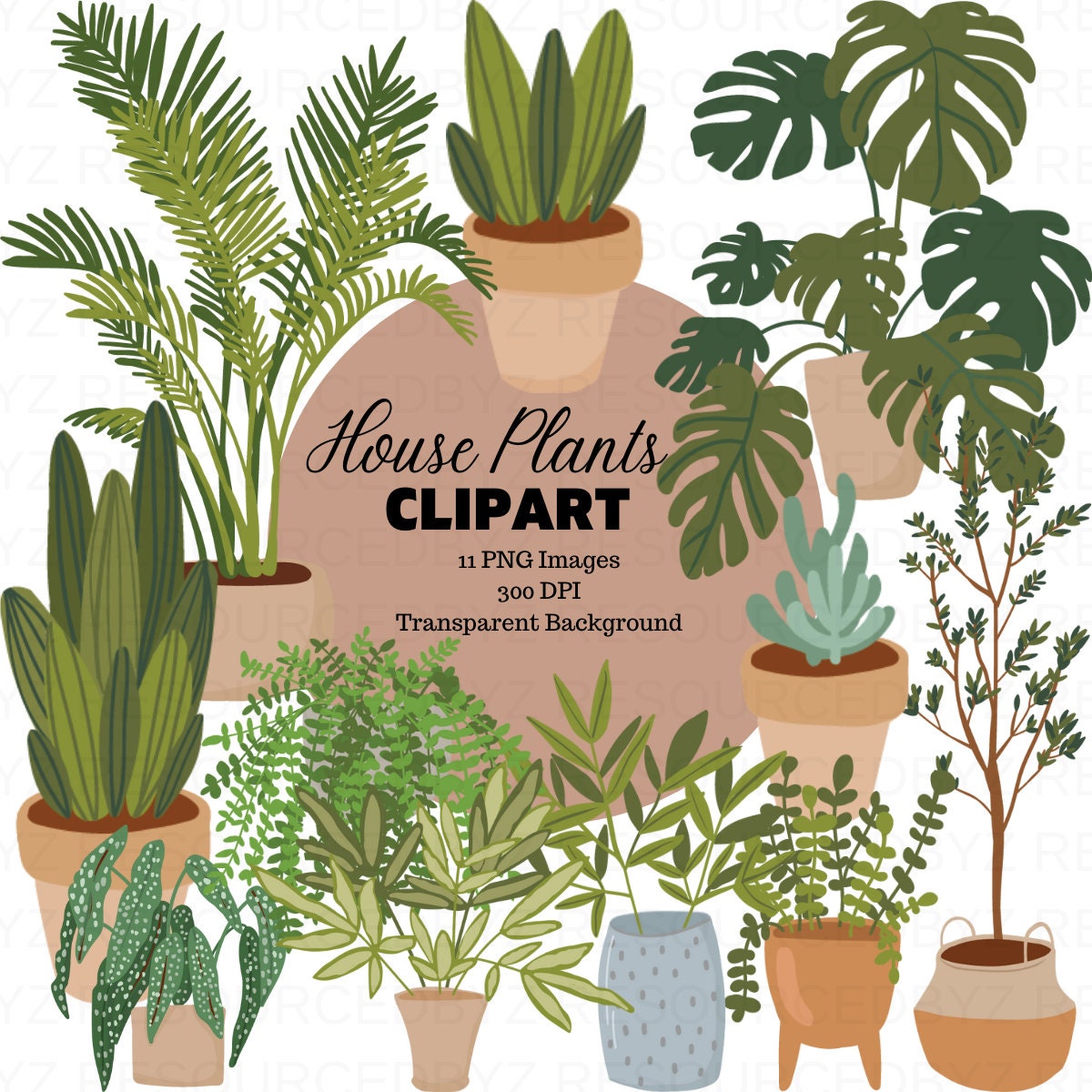 House Plants Clipart Instant Download Green Beige - Etsy
