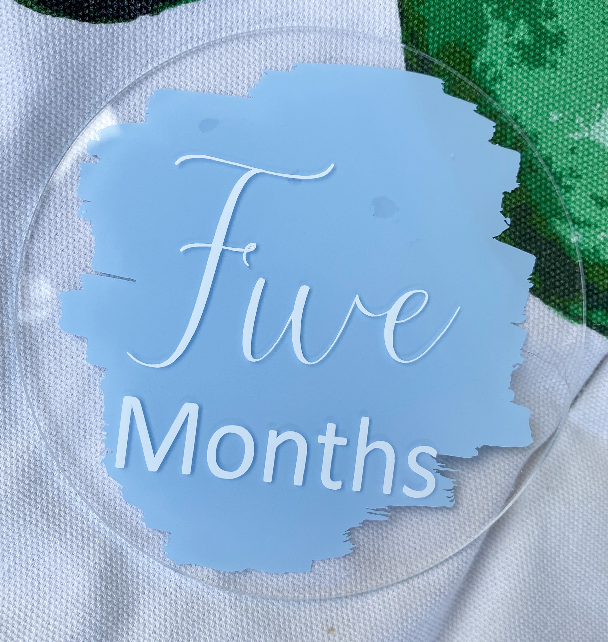 Baby Milestone Discs Milestone Disc Monthly Photo Disc - Etsy