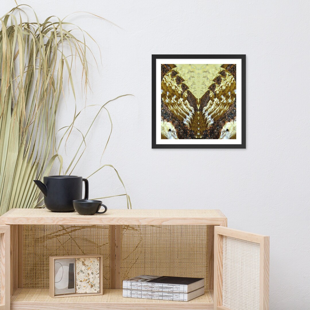 3D Heart-shaped Macro Moth Collage- Framed Art Print on Photo Poster ...