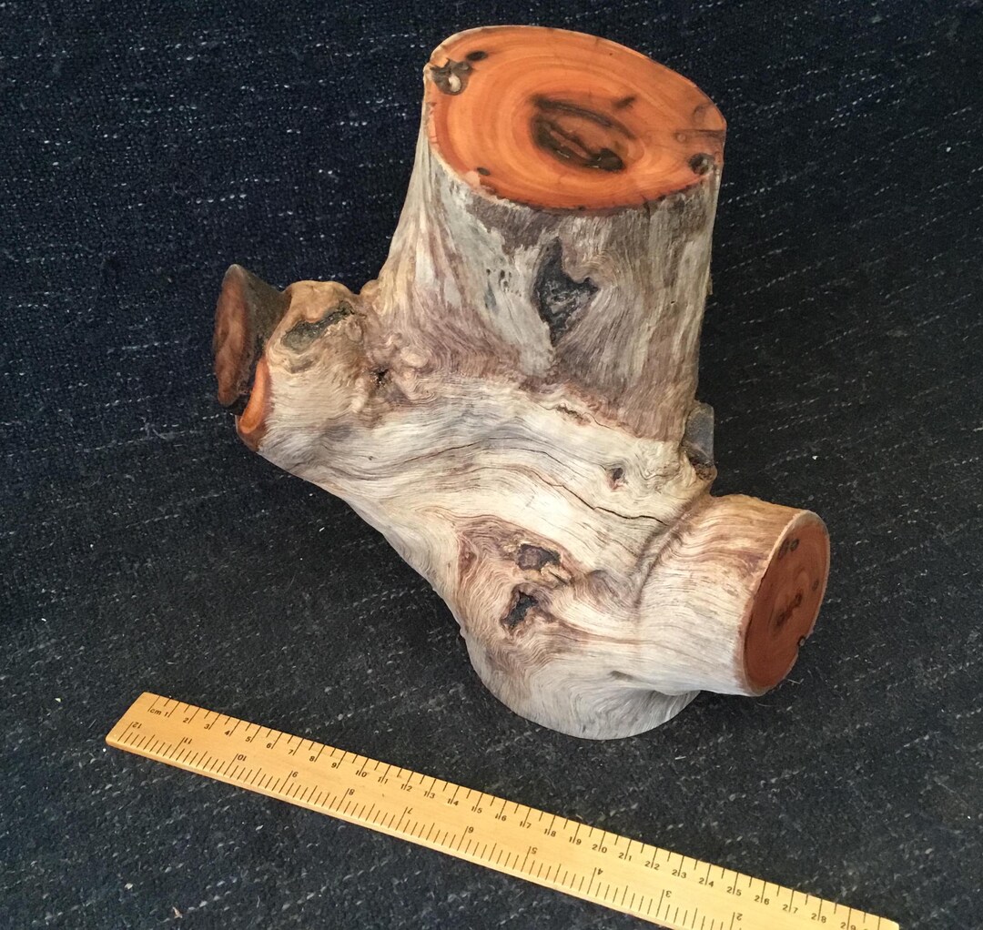 Natural Tree Branch,limb Wood Carving Kuksa Netsuke Whittling ...