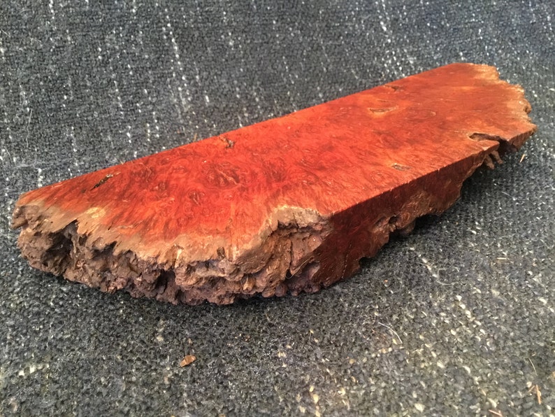 Jarrah Burl Craft Wood. DIY Clock Face. Plaque Blank. Wood Block for ...