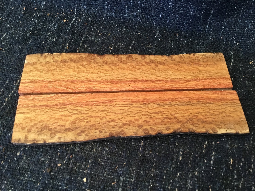 Live Edge Hardwood Slices. Mini Slabs. Jewellery Making Wood. Craft ...
