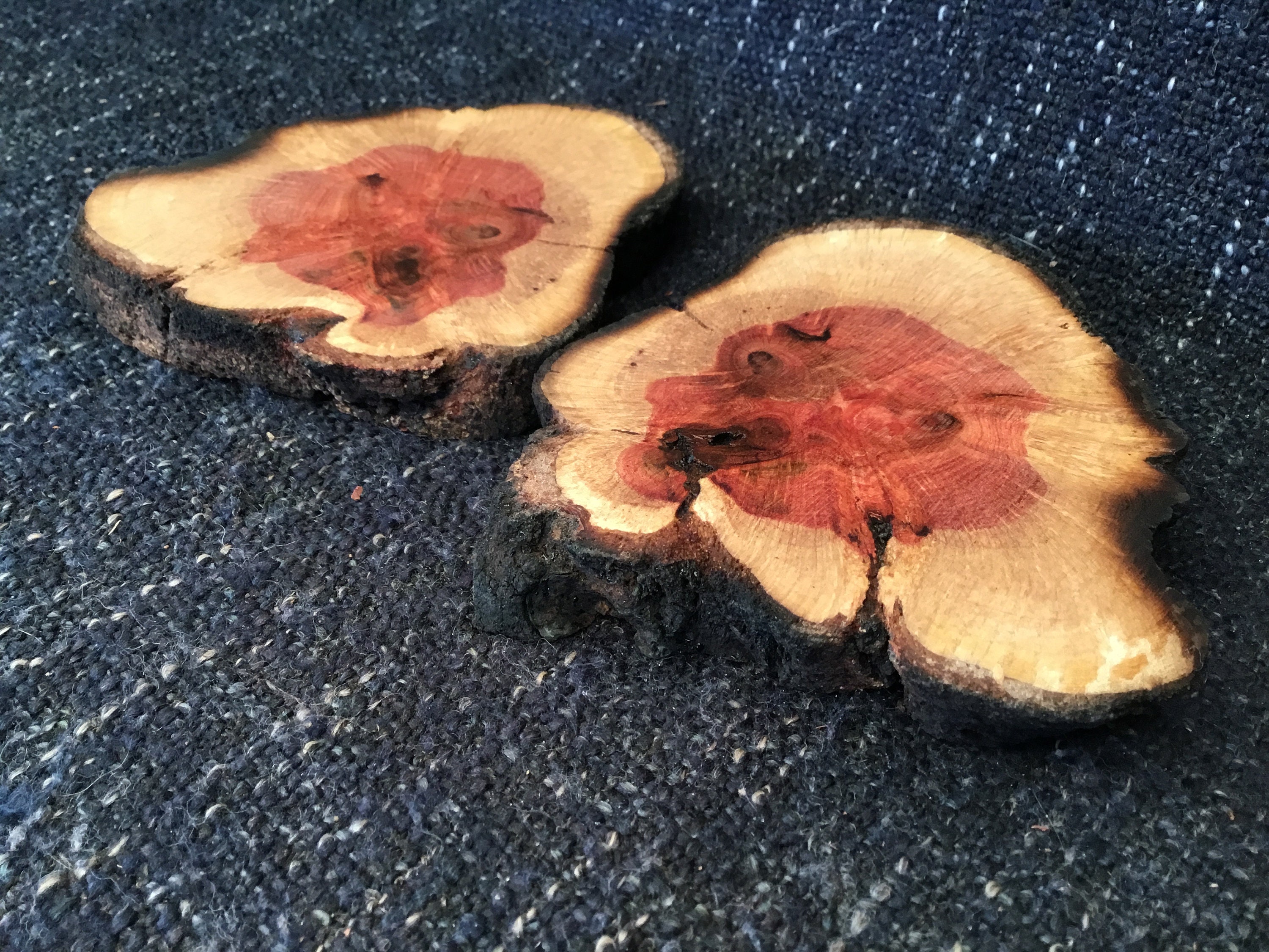 Live Edge Craft Wood. Natural Wood Slices. Epoxy Resin Craft Blank ...