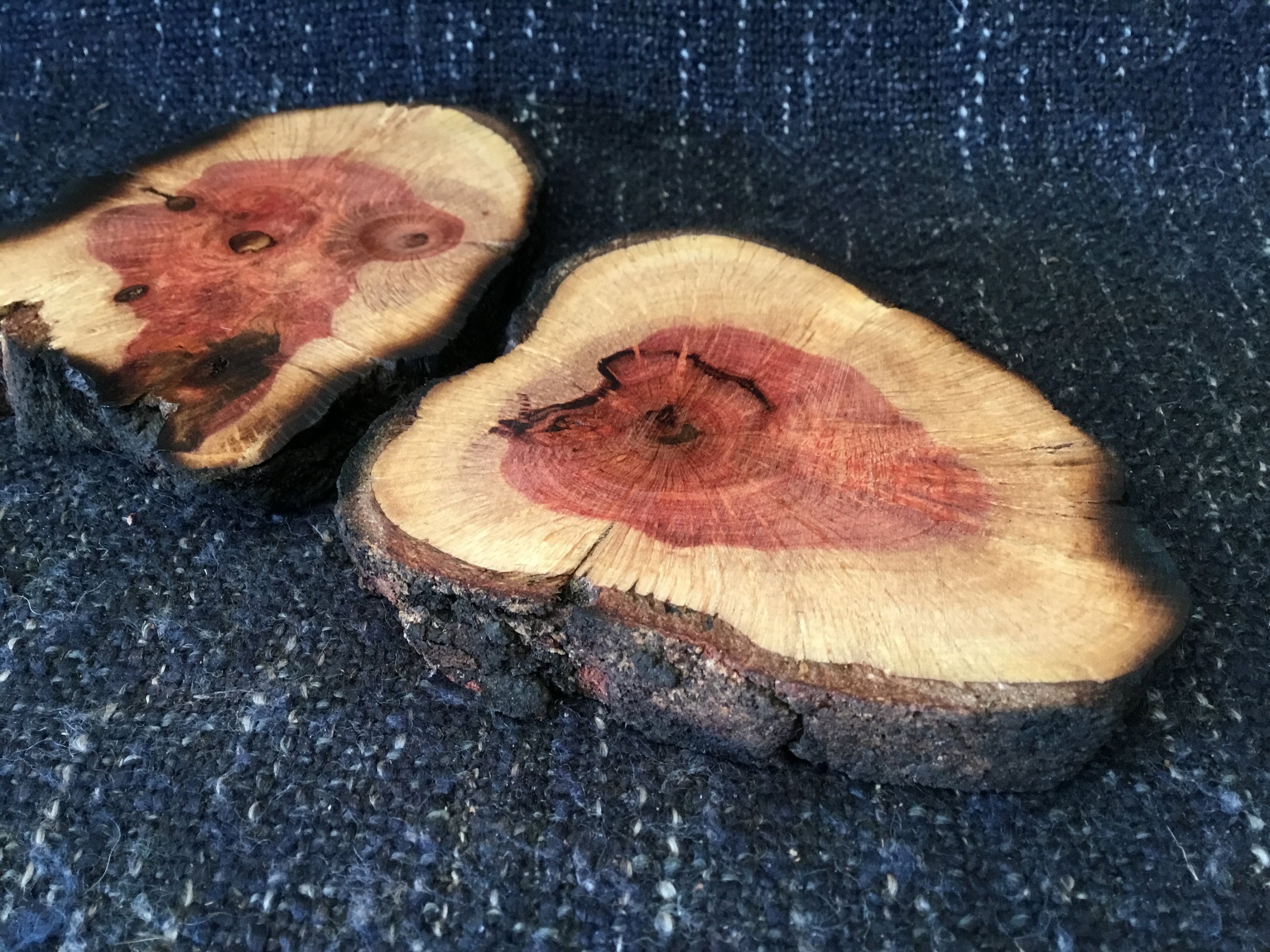 Live Edge Craft Wood. Natural Wood Slices. Epoxy Resin Craft Blank ...