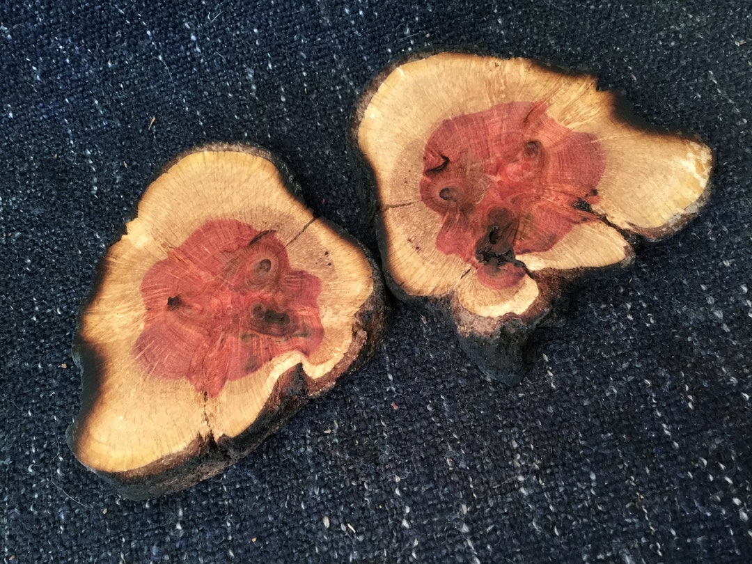 Live Edge Craft Wood. Natural Wood Slices. Epoxy Resin Craft Blank ...