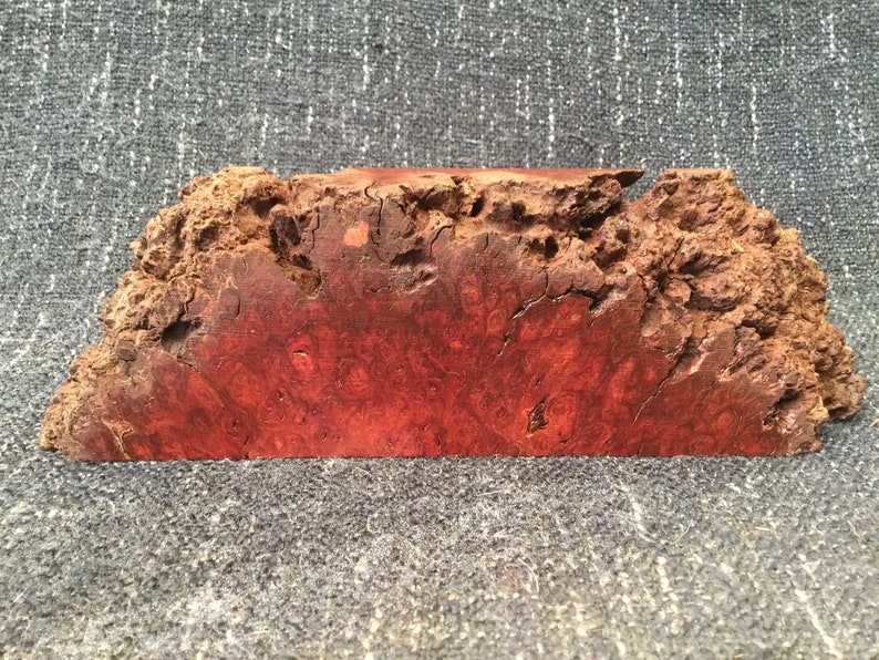 Jarrah Burl Craft Wood. DIY Clock Face. Plaque Blank. Wood Block for ...