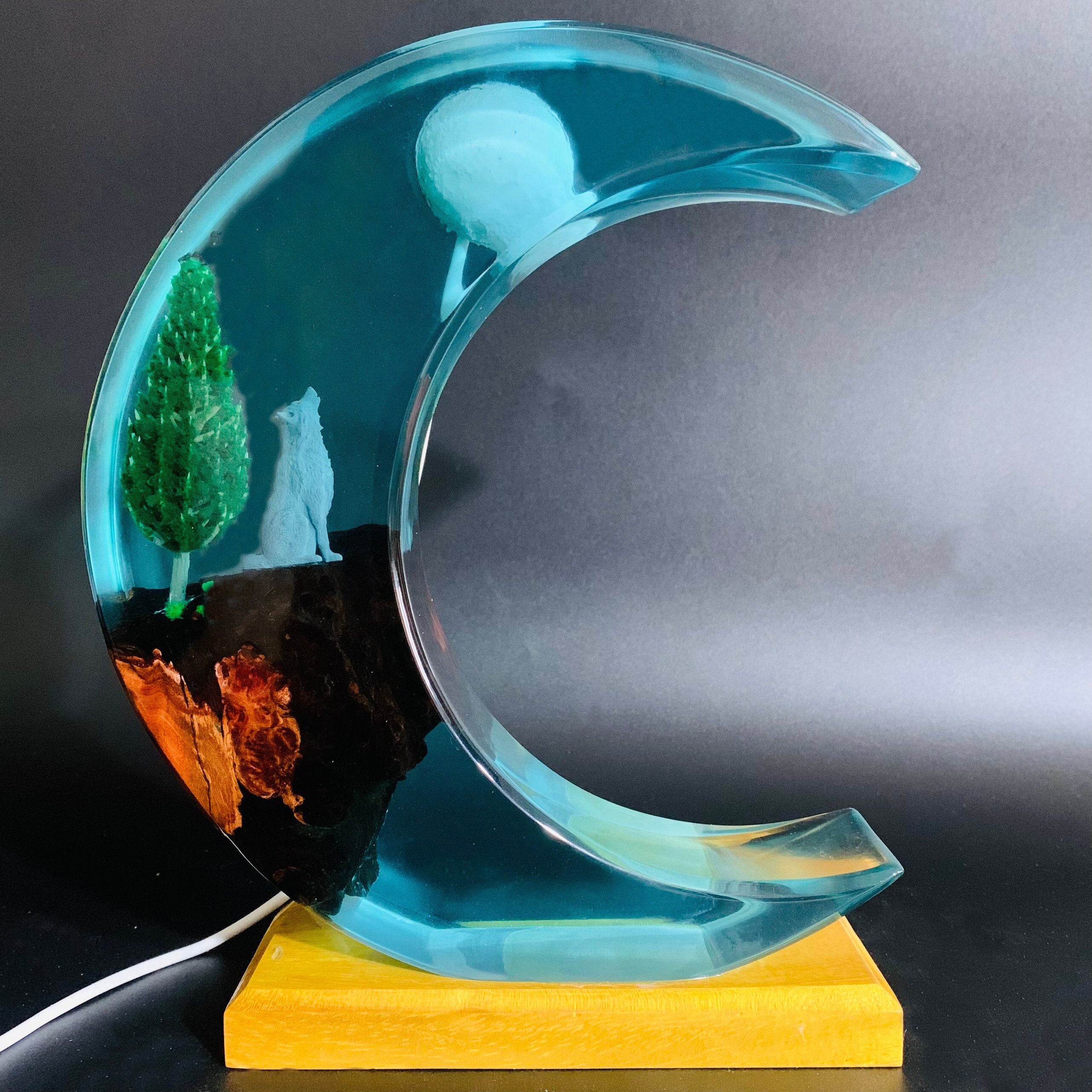 Moon Light Night Light, Resin Lamp Wild Natural Scenery, Resin Art Lamp ...