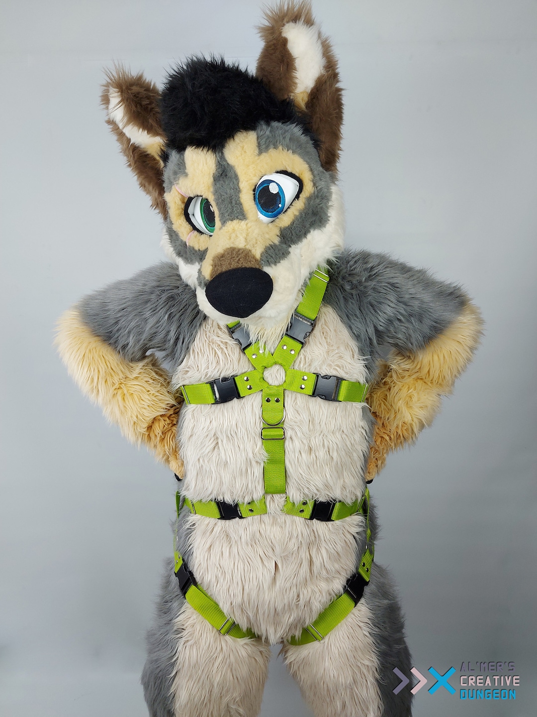 Standard 2 Strip Harness With Legstraps - Etsy