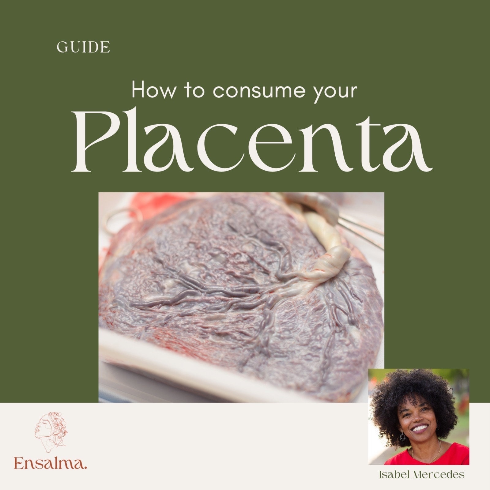 Placenta Pils Tincture Menstruation Menopause Puberty Birth Lotus ...