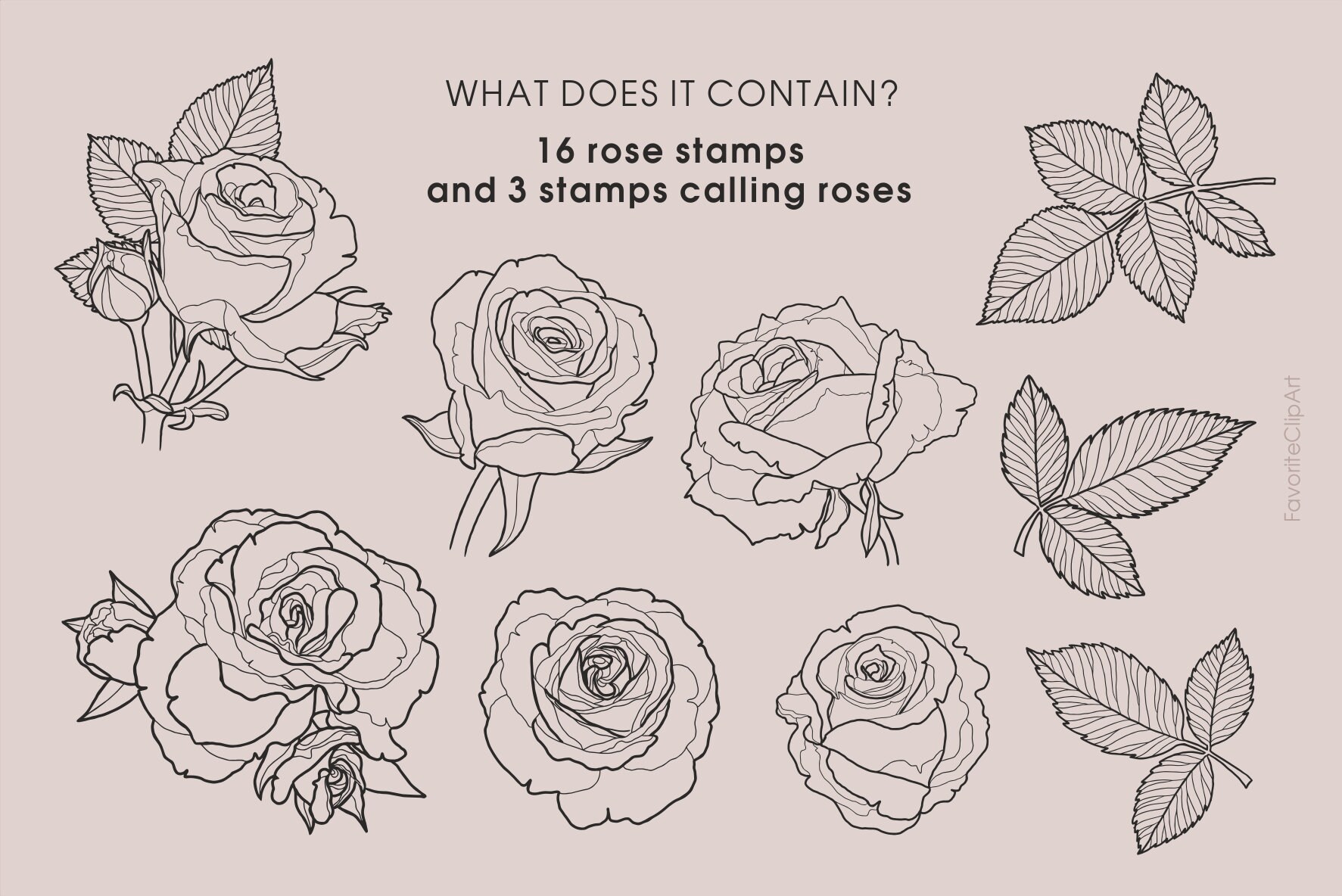 19 Flowers Rose Stamps for Procreate, Roses Line to Create Tattoo ...