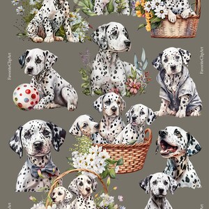 Dalmatian Watercolor Clipart, Spotted Dog, Puppies in a Basket, Puppies ...