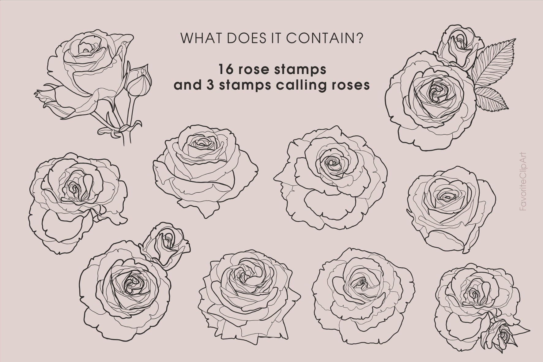 19 Flowers Rose Stamps for Procreate, Roses Line to Create Tattoo ...