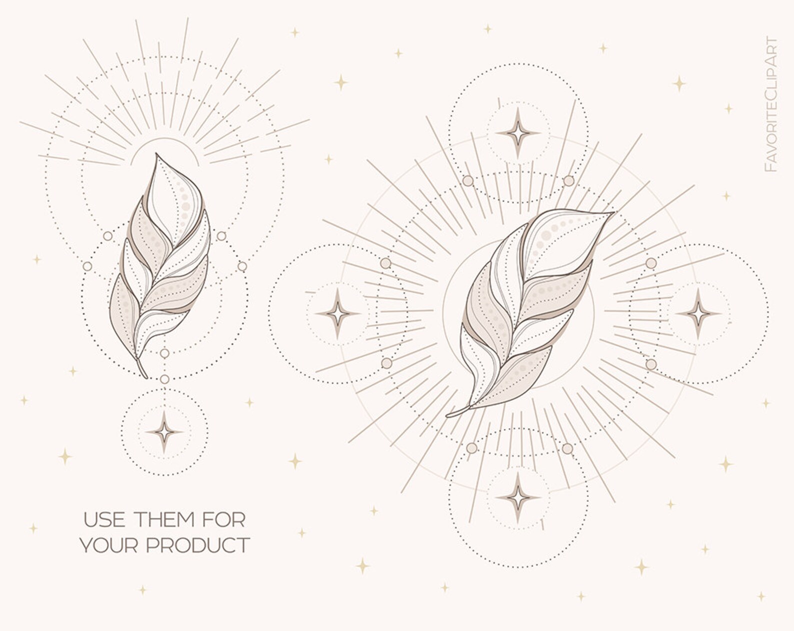 Magic Feathers Clipart. Ready to Print. Phoenix Bird Feather - Etsy